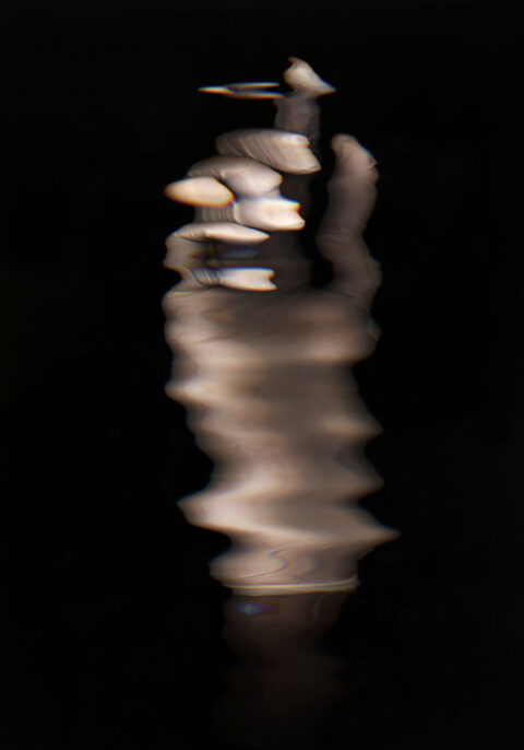 Norm Yip | Visual Artist & Photographer